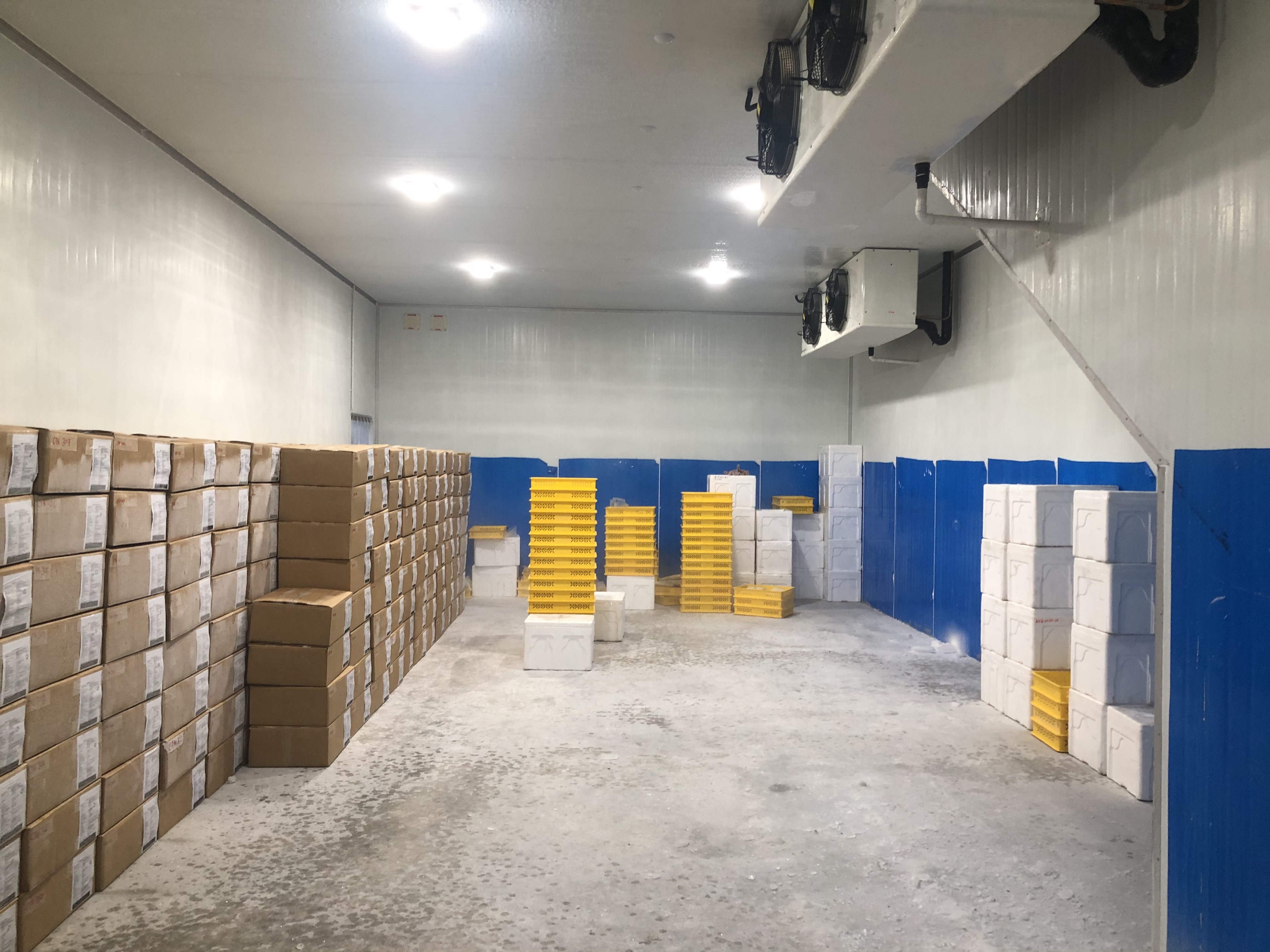 Freezer Room, Processing Room and Semi-Contact Freezer – Fully ...